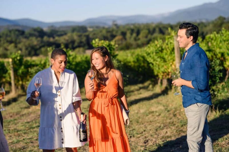 From Melbourne: Yarra Valley Chandon Cheese & Kangaroos Tour - A Full Breakdown of What to Expect