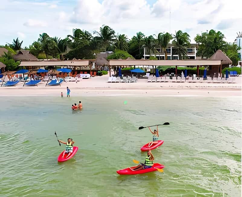 From Merida: Beach, Mangrove and something more - Key Points