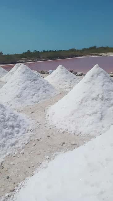 From Merida: Beach, Mangrove and something more - Who Will Love This Tour?