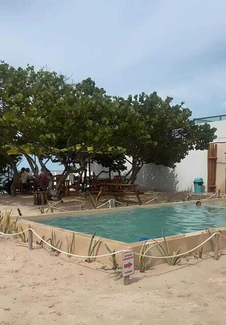 From Mérida: Beach Tour - Who Would Love This Tour?