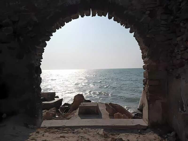 From Merida: Celestun, flamingos and beach - Who should consider this tour?