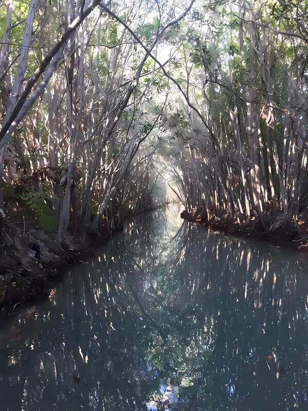 From Mérida: Enjoy nature, cenotes and beach in one day - Practical Details and Tips