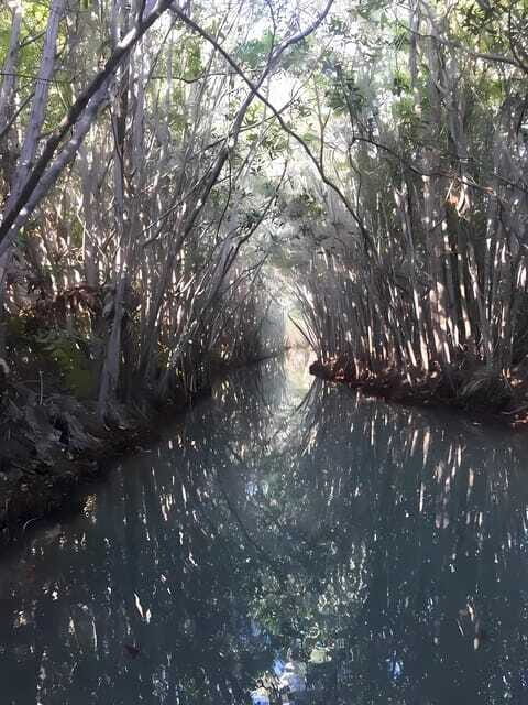 From Mérida: Enjoy nature, cenotes and beach in one day - Final Thoughts