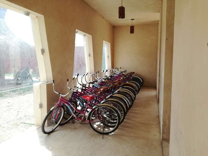 From Merida: Full-Day Cuzama Cenotes tour - Pricing & Value Assessment