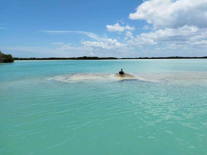 From Merida: Isla Columpios & Progreso - The Excursion in Detail