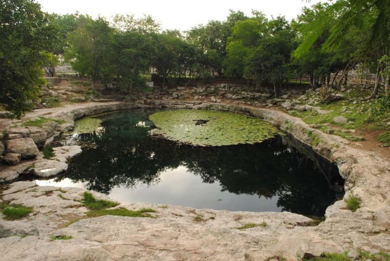 From Mérida: Mayan Dzibilchaltún & Progreso Beach Tour - Introduction
