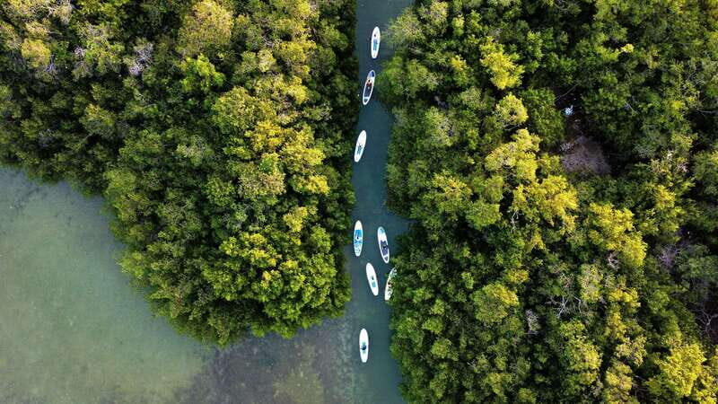 From Mérida: Paddel board, Sunshine and beach - Key Points