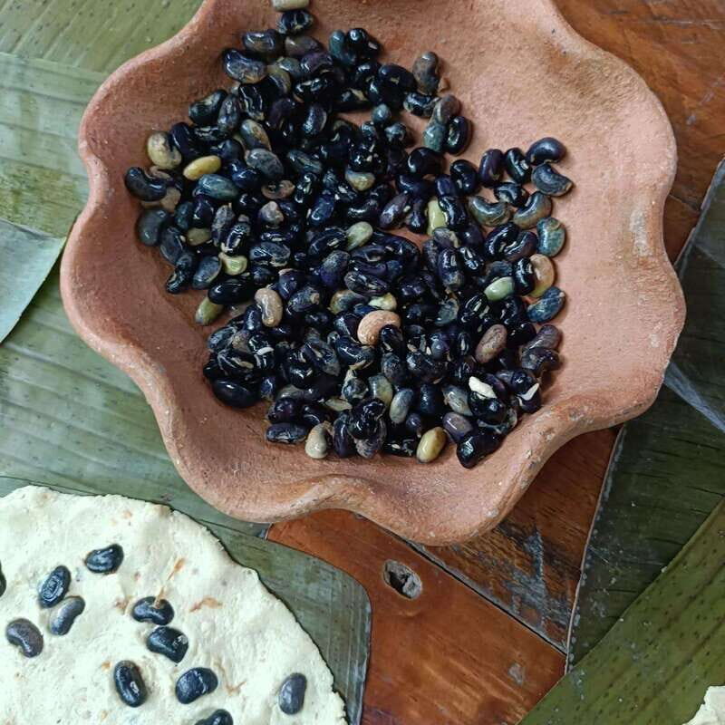 From Merida: Peanuts, our Mayan ancestors - Returning to Mérida: Wrapping Up a Culturally Rich Day