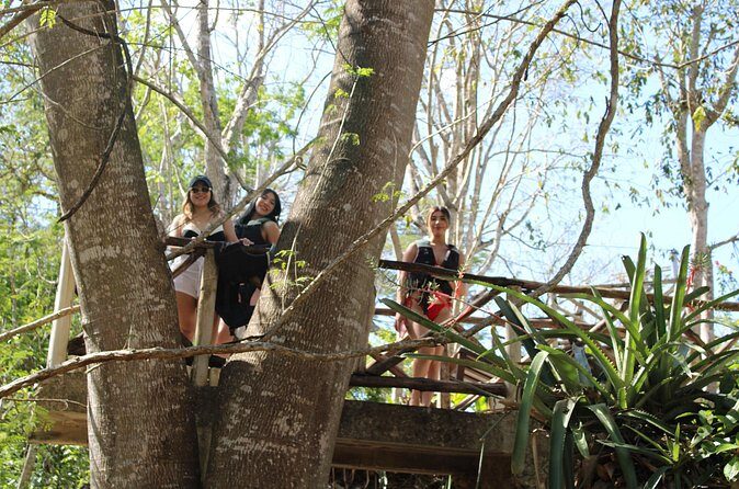 From Merida to Cancun or Tulum Stop at Chichen Itza and Cenote - The Experience Provider and Practical Details