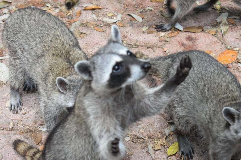 From Merida: Transfer to Celestun and Sisal - Final Thoughts: Who Is This Tour Best For?