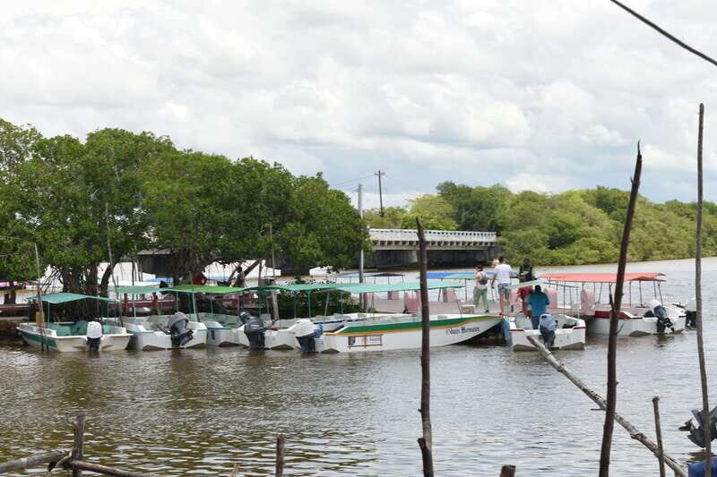 From Merida: Transfer to Celestun and Sisal - FAQs