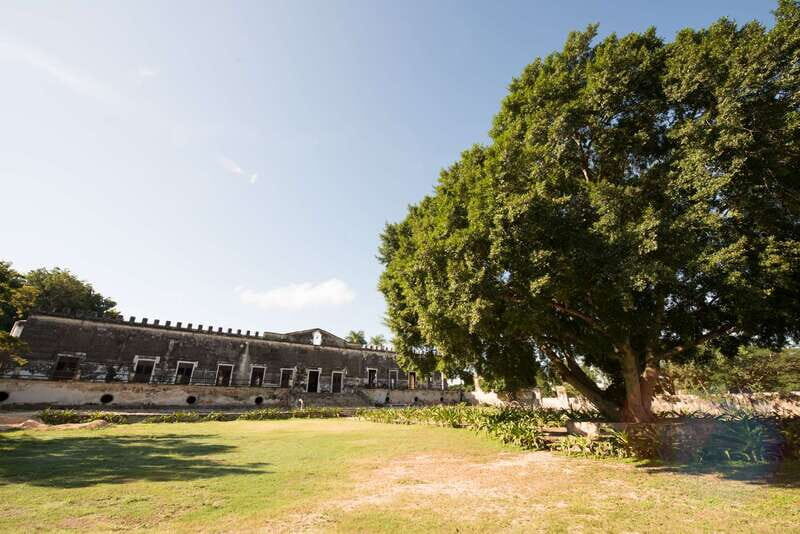 From Merida: Uxmal, Hacienda Yaxcopoil and Cenote with Lunch - Timing and Pace