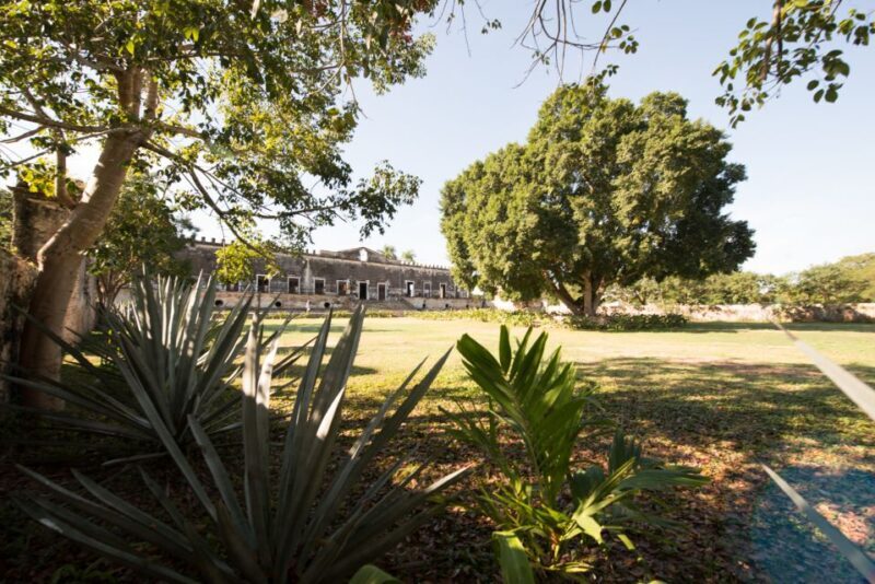 From Merida: Uxmal, Hacienda Yaxcopoil and Cenote with Lunch - Practical Tips for Your Day Out