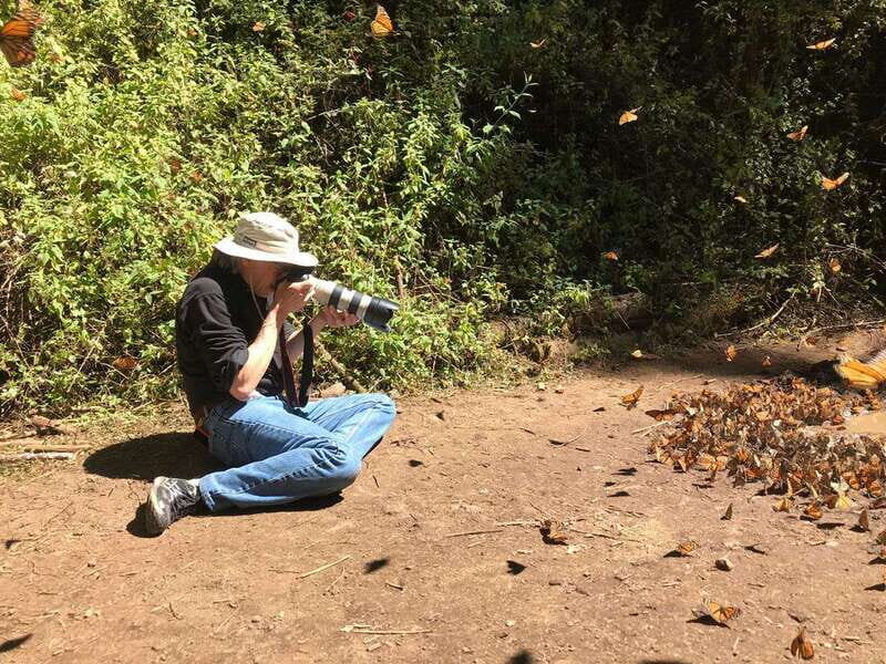 From Mexico City: 7-Day Monarch Butterfly Tour - What Makes This Tour Special?