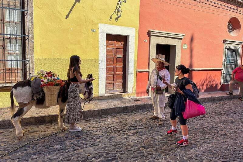 From Mexico City: San Miguel de Allende Day Trip - Overview of the Experience