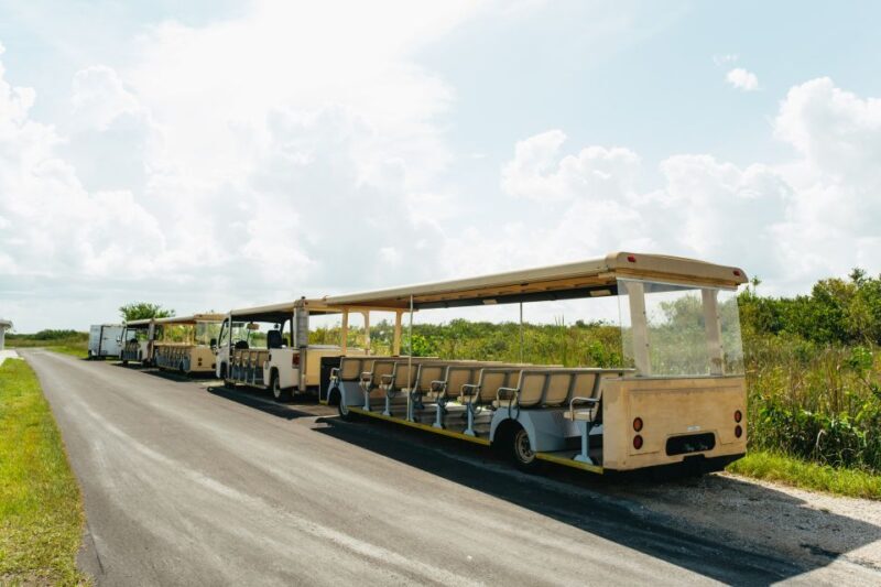 From Miami: Everglades Airboat Ride and Nature Walk - Introduction: Why This Tour is Worth Considering