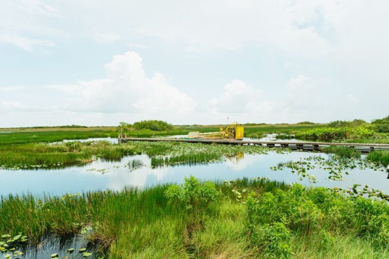 From Miami: Everglades Airboat Ride and Nature Walk - Value and Cost Analysis