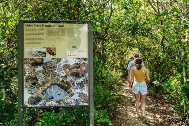 From Miami: Everglades Airboat Ride and Nature Walk - Practical Tips for Travelers