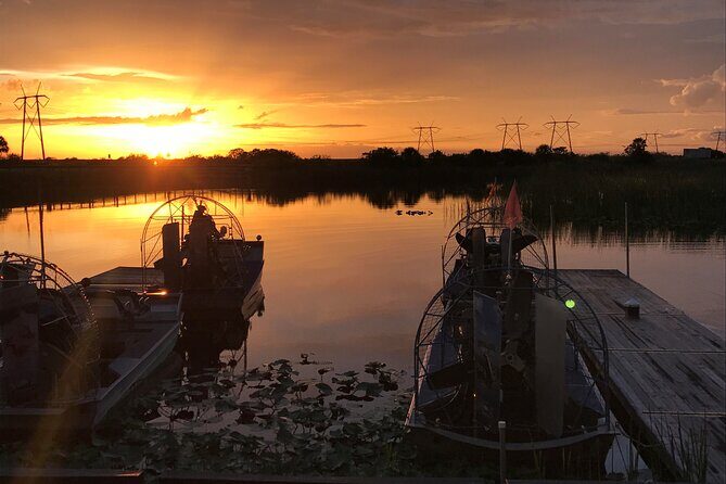 From Miami: Everglades at Night with Airboat and Alligators Tour - Key Points