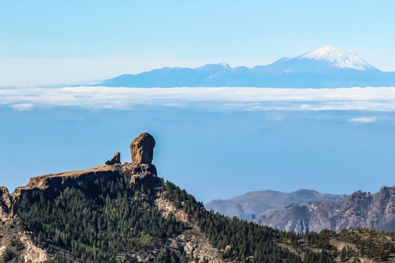 From Mogán/Maspalomas/Arguineguín: Gran Canaria Day Tour - FAQ