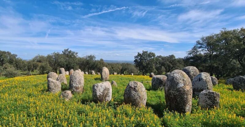 From Montemor or Évora: Guided Hike to Almendres Megalithic - Who Is This Tour Best For?