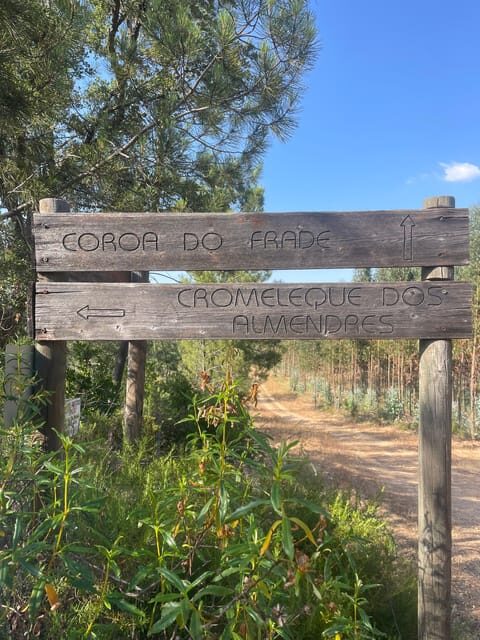 From Montemor or Évora: Guided Hike to Almendres Megalithic - FAQ