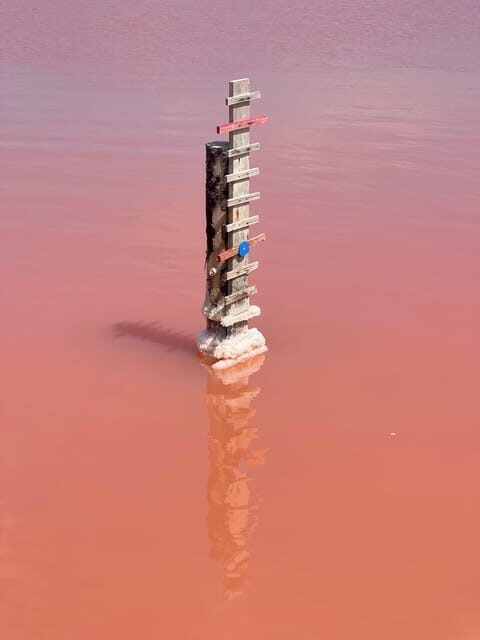 From Montpellier: Camargue and Salt Marshes Guided Tour - A Complete Guide to the Camargue and Salt Marshes Tour