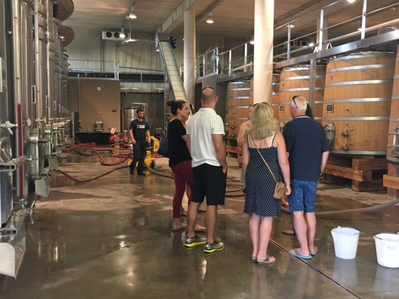 From Montpellier: Half-Day Vineyard & Pic Saint-Loup Tour - Key Points  