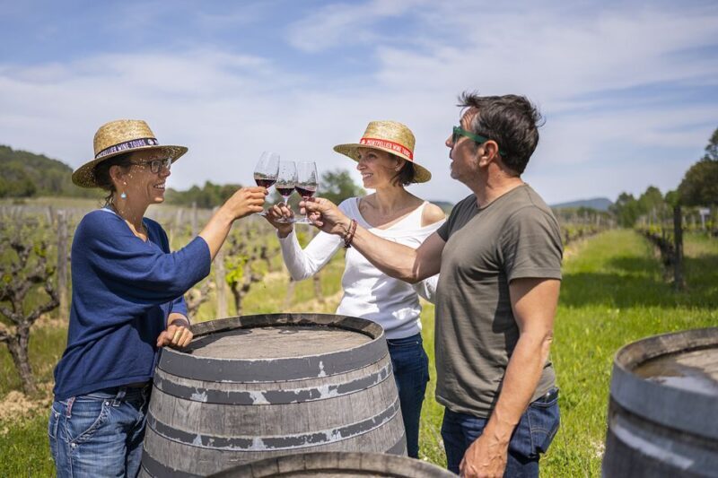 From Montpellier: Half-Day Vineyard & Pic Saint-Loup Tour - What Makes This Tour Stand Out