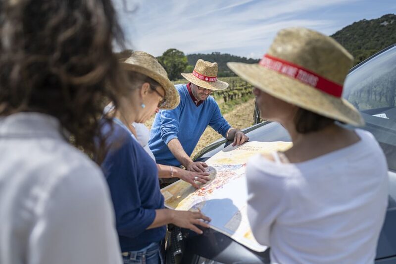 From Montpellier: Half-Day Vineyard & Pic Saint-Loup Tour - Practical Details and Value