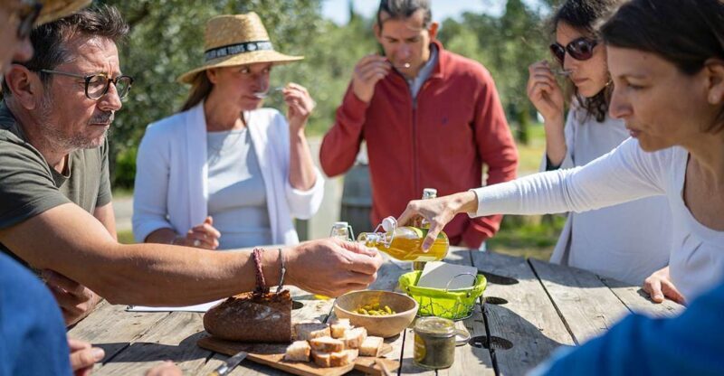 From Montpellier: Wine and Olive Tour - Final Thoughts