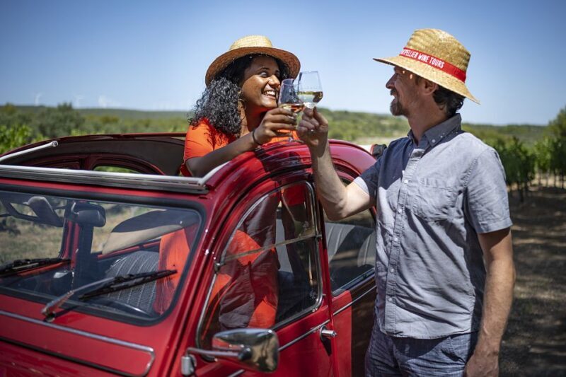 From Montpellier: Winery Tour in a Vintage Citroën 2CV - An In-Depth Look at the Tour Experience