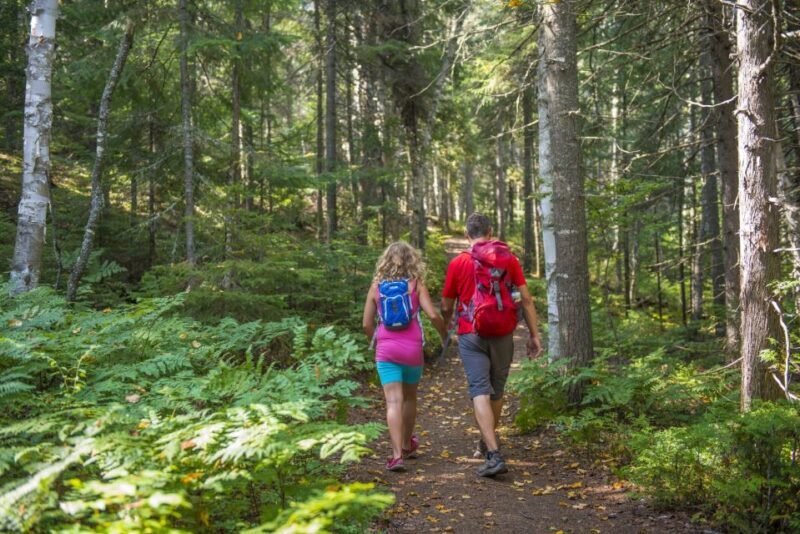 From Montreal: Mont-Tremblant National Park Hiking Day Trip - Who Will Love This Tour?