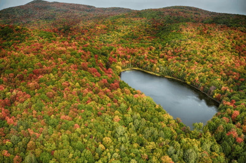 From Montreal: Scenic Montérégie Helicopter Tour - Authentic Insights from Past Reviewers