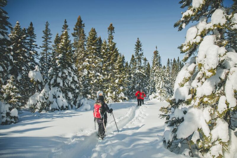 From Montreal: Sept-Chutes Regional Park Hike and Swim - FAQ