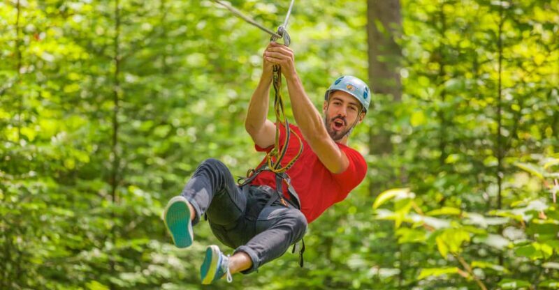From Montreal: Treetop Trek, Ziplines + beach or waterfall. - An In-Depth Look at the Tour Experience