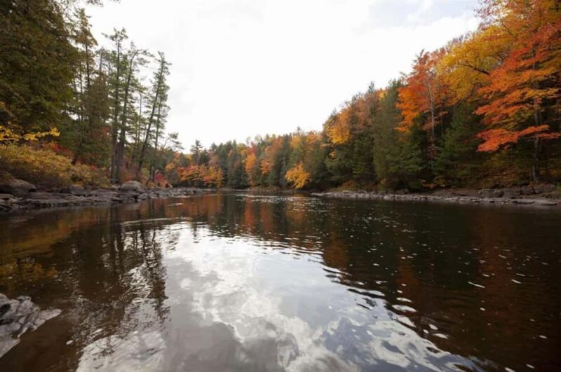 From Montreal: Treetop Trek, Ziplines + beach or waterfall. - Final Thoughts