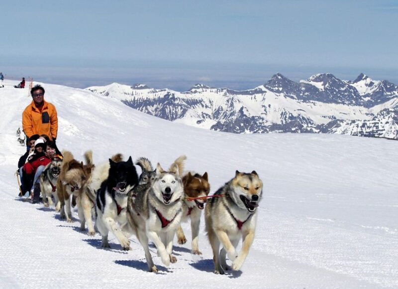 From Montreux: Glacier 3000 Day Trip - Final Thoughts: Is This Tour for You?  