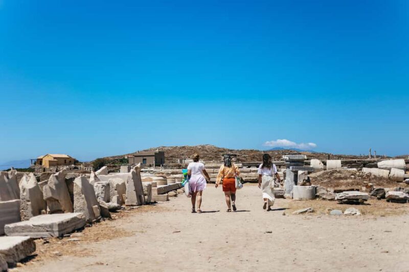 From Mykonos: Cruise to Delos and Rhenia with Lunch - FAQ