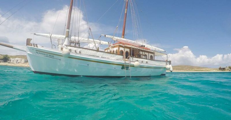 From Mykonos: Delos & Rhenia Islands Half-Day Trip by Boat - FAQ: Your Practical Questions Answered