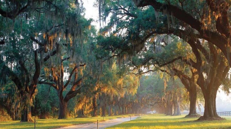 From Myrtle Beach: Charleston Day Trip, Boone Hall & Cruise - An In-Depth Look at the Tour Itinerary