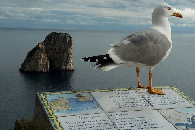 From Naples: Capri and Anacapri Guided Day Trip - The Value of This Tour