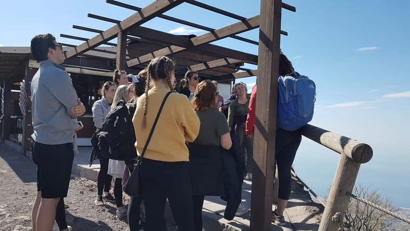 From Naples: Day Trip to Mount Vesuvius - The Itinerary: What to Expect on Your Mount Vesuvius Tour