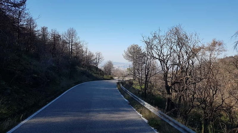 From Naples: Day Trip to Mount Vesuvius - Final Thoughts: Who Will Love This Tour?