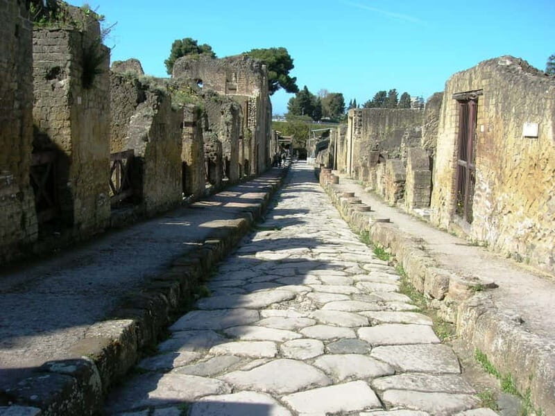 From Naples: Explore the ruins of Herculaneum and Vesuvius - Key Points