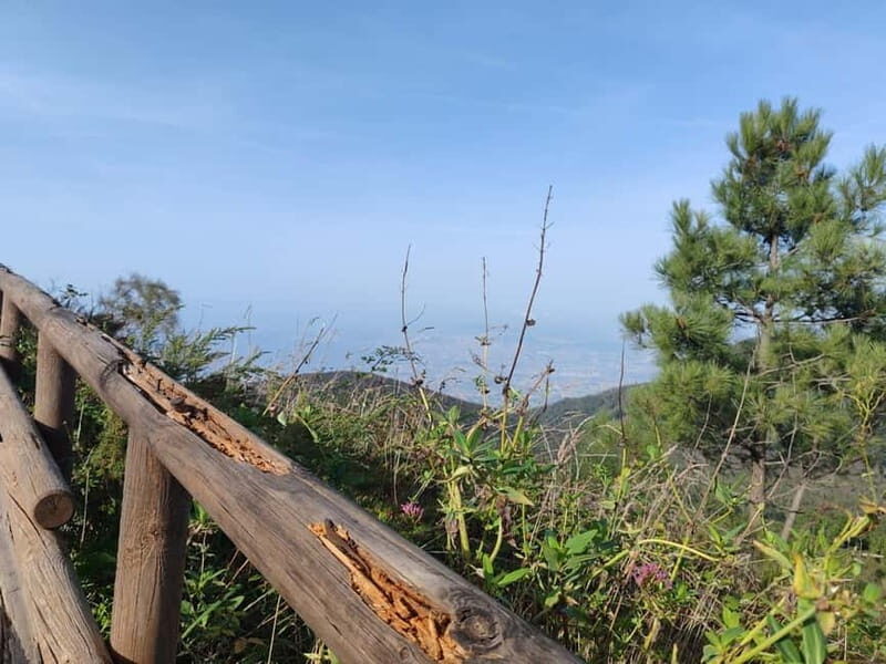 From Naples: Explore the ruins of Herculaneum and Vesuvius - What We Learned from the Reviews