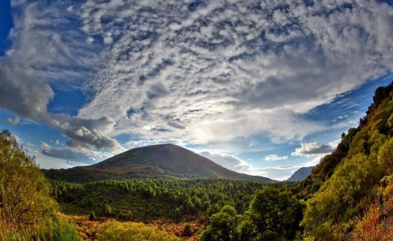 From Naples: Mount Vesuvius Half-Day Tour with Lunch - From Naples: Mount Vesuvius Half-Day Tour with Lunch
