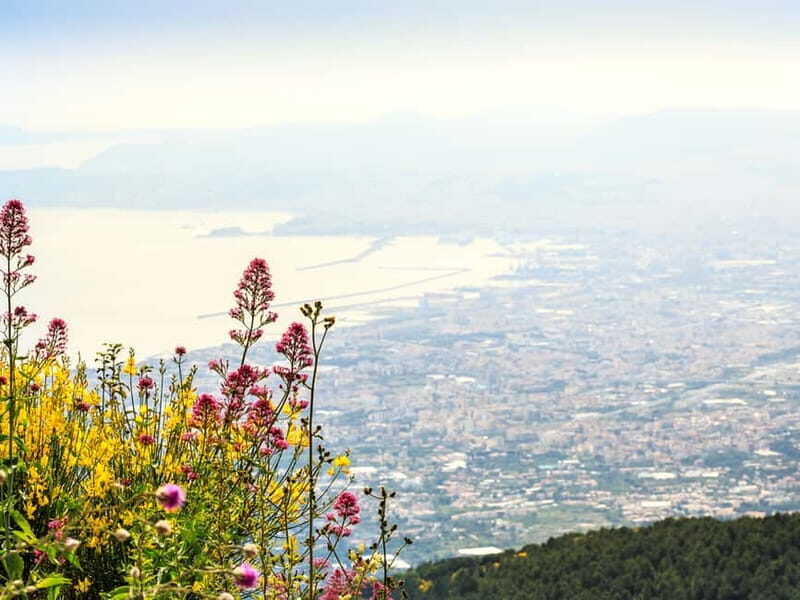 From Naples or Pompeii: Vesuvius Easy Tour - Seamless Transportation and Pick-up Options