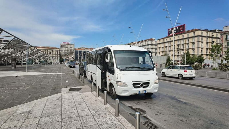 From Naples or Pompeii: Vesuvius Transfer and Entry Ticket - Why Choose This Vesuvius Tour?