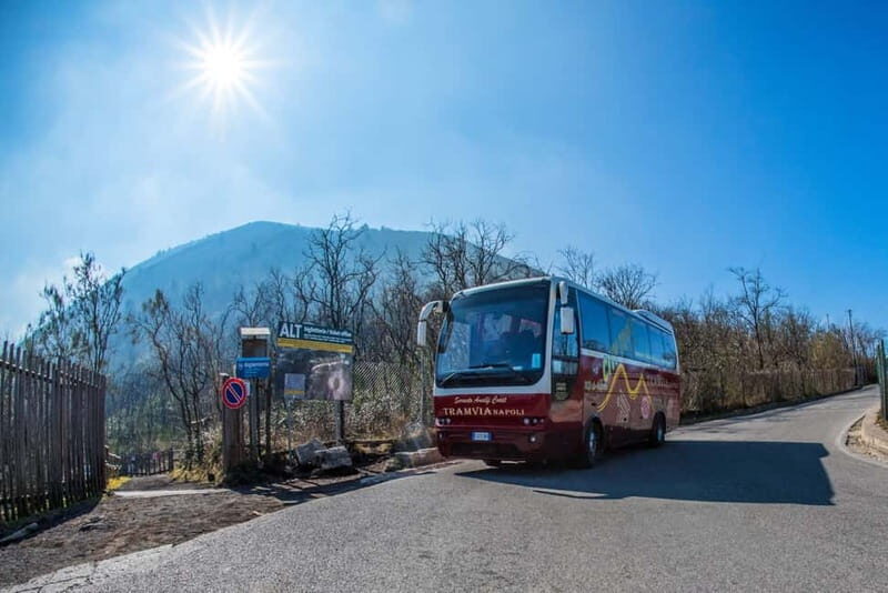 From Naples: Pompeii and Vesuvius by Bus - The Itinerary in Detail